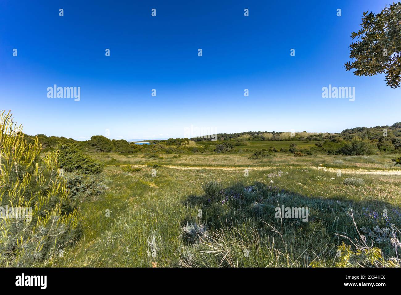 Kamenjak Nature Park wild beaches visiting Istria on the weekend ...