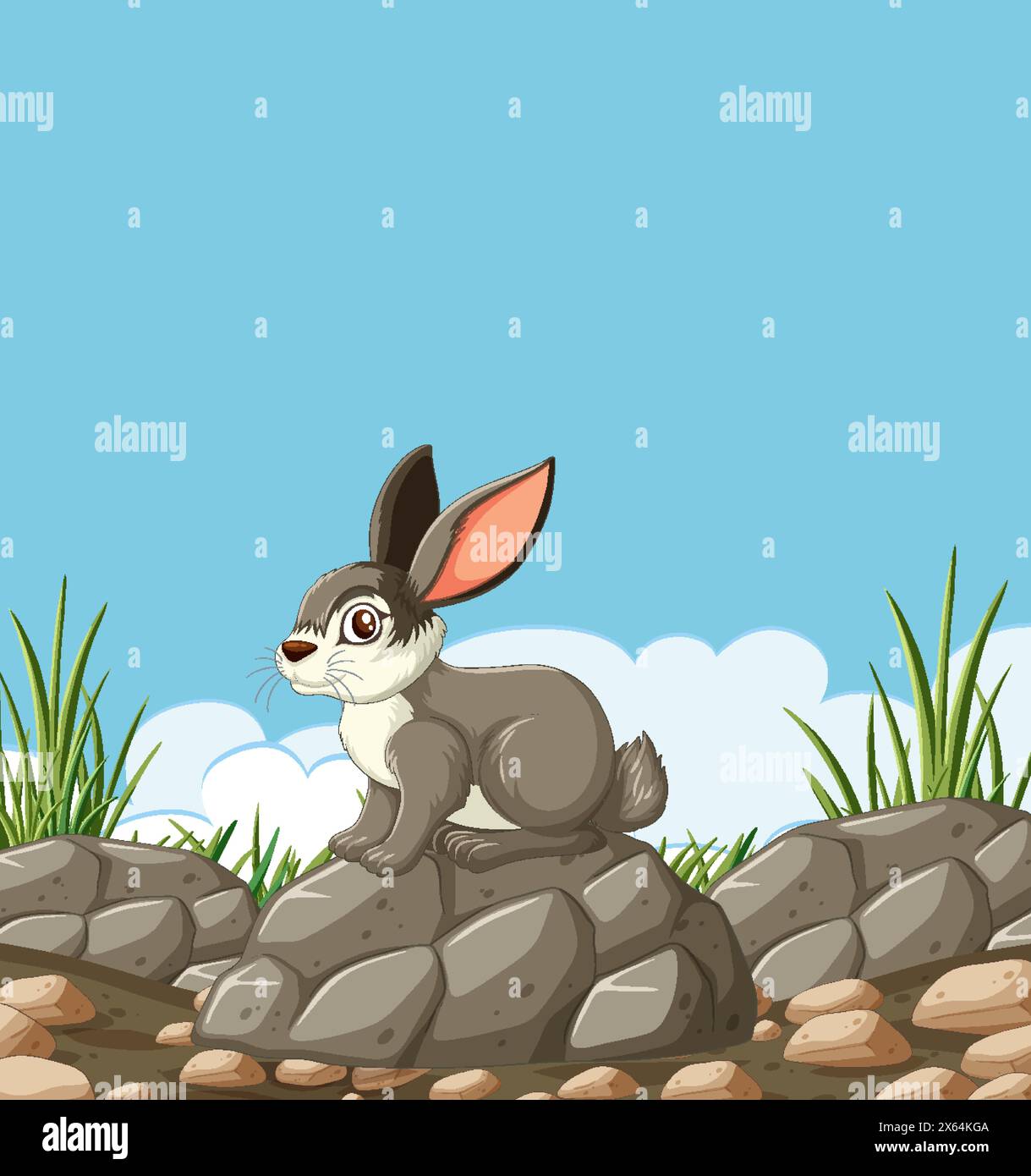 Vector illustration of a rabbit on stones Stock Vector Image & Art - Alamy