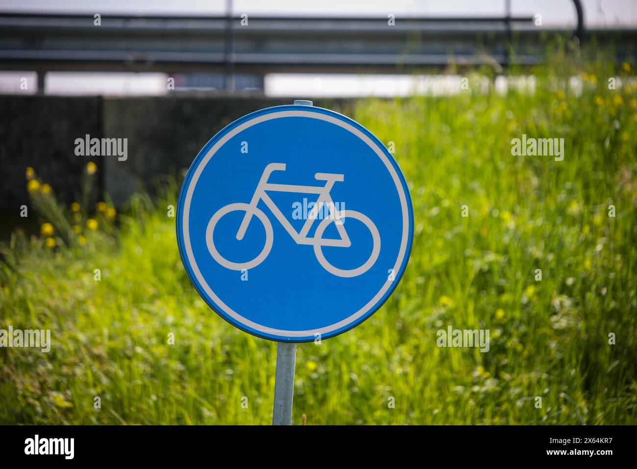 Road sign G11, indicating a cycle path. This sign indicates a mandatory ...