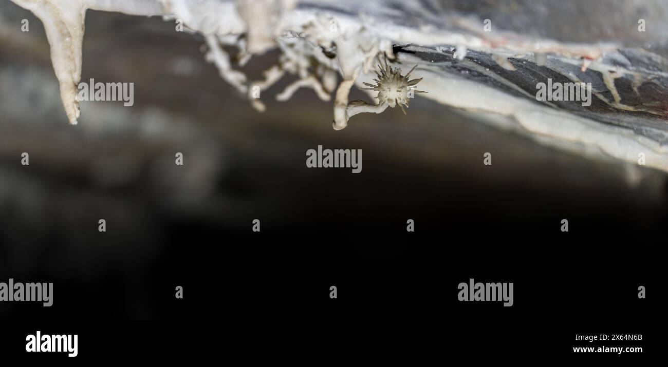 Dimly lit cave hi-res stock photography and images - Alamy
