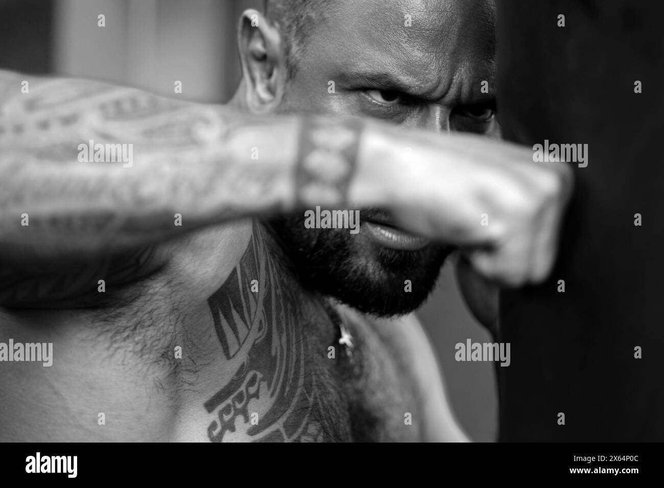Portrait muscular male boxer boxing Black and White Stock Photos ...