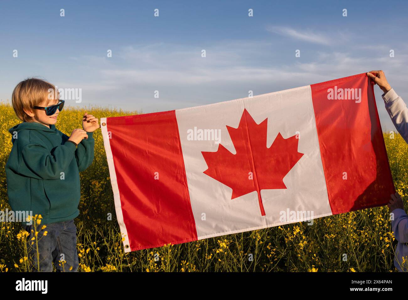 Canadian flag against the backdrop of a blooming rapeseed field. Happy ...