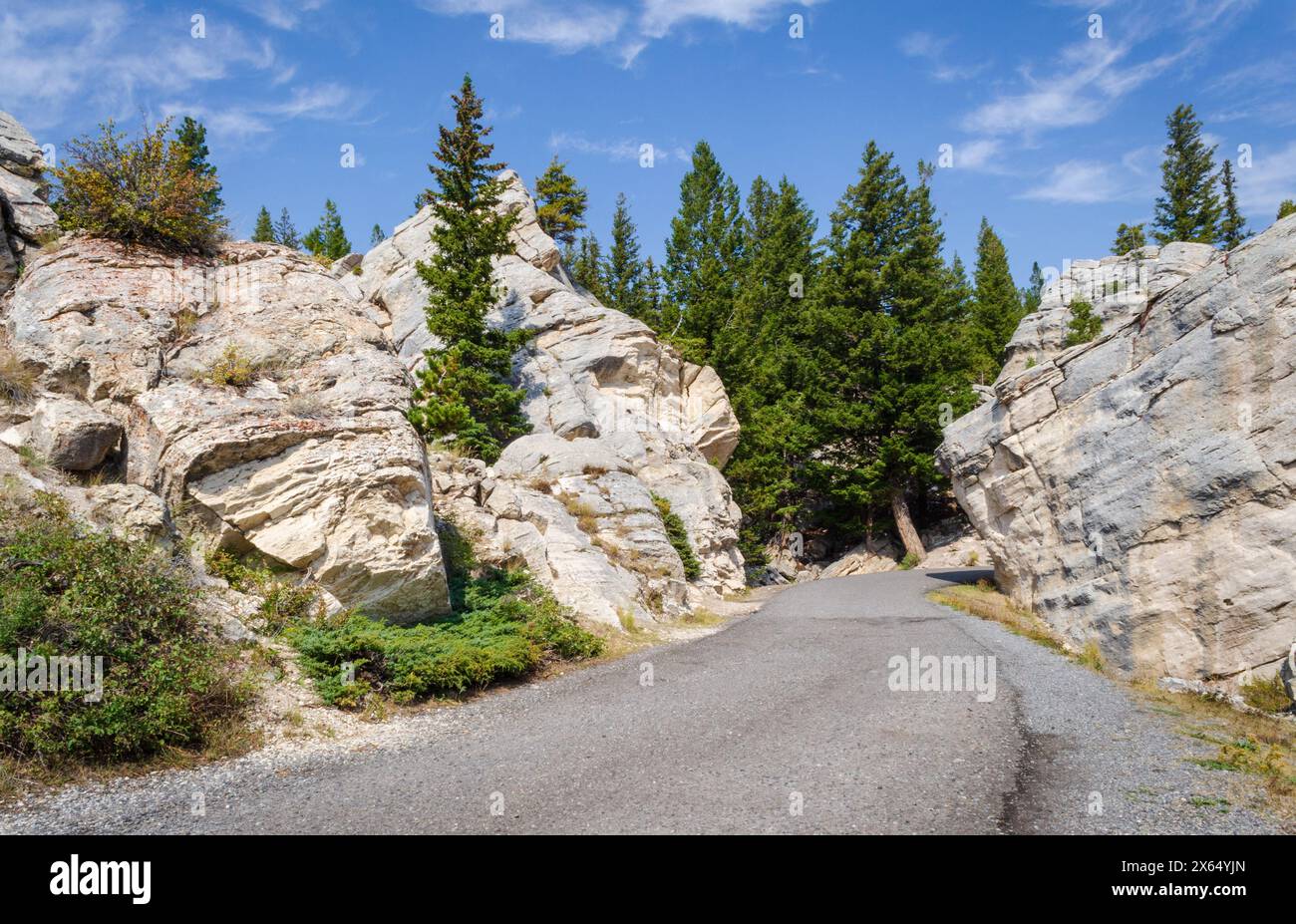 The Hoodoos, or Silver Gate at Yellowstone National Park, USA Stock ...