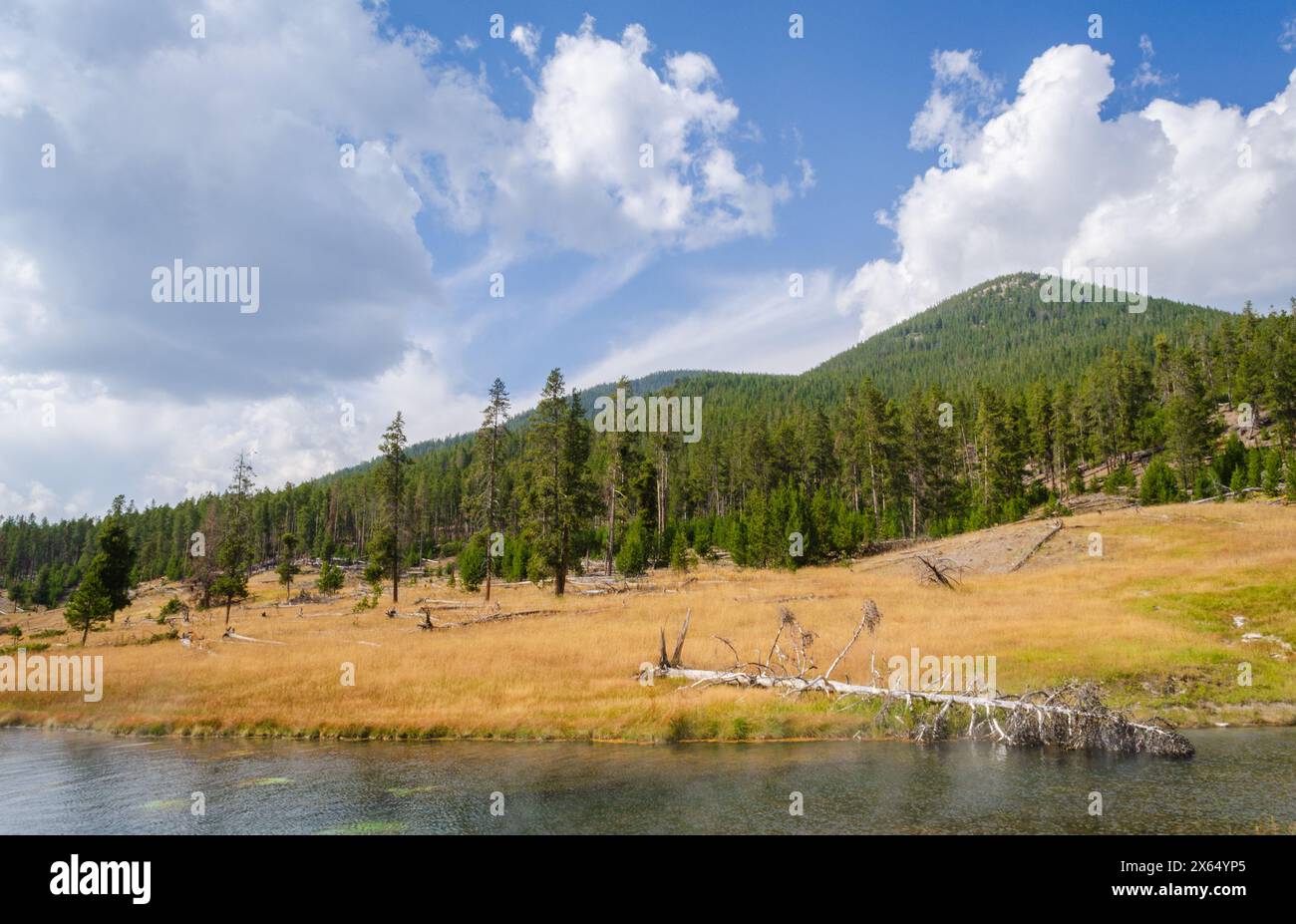 Terrace Springs at Yellowstone National Park, USA Stock Photo - Alamy
