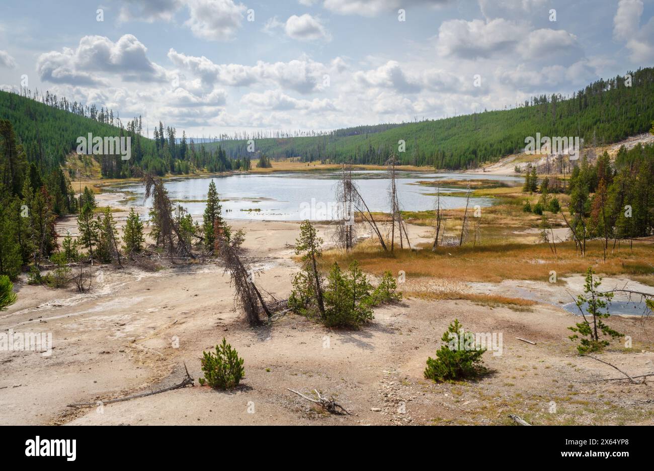 Terrace Springs at Yellowstone National Park, USA Stock Photo - Alamy