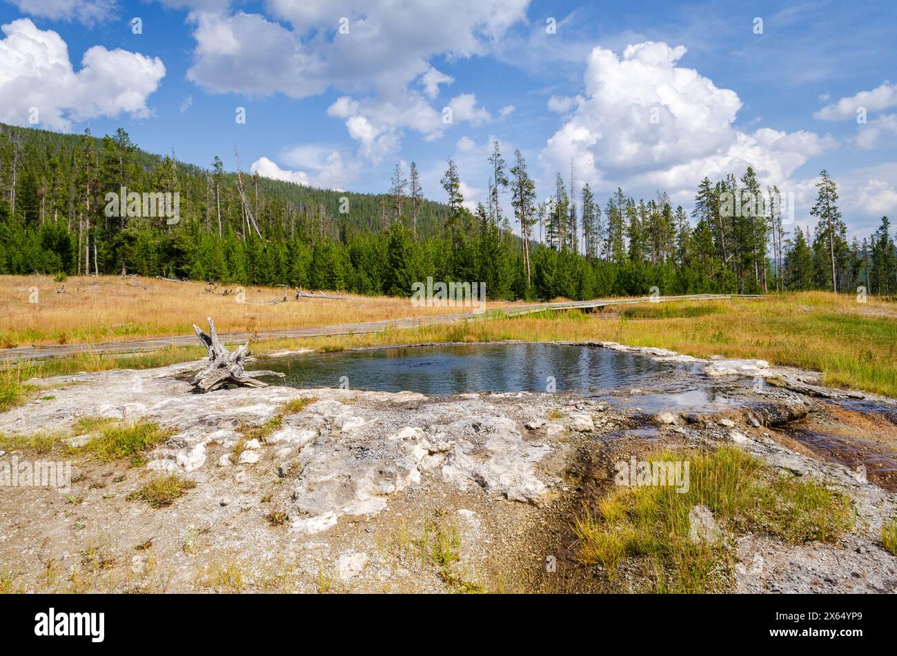 Thermal Feature at Yellowstone National Park, USA Stock Photo - Alamy