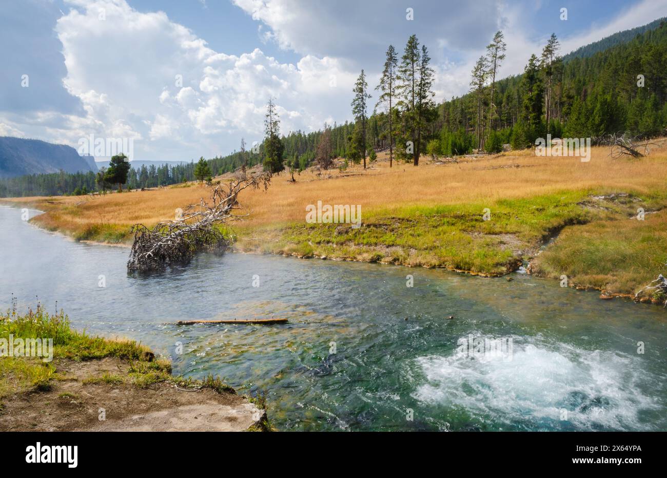Hot water bubbling up in one of the pools at Terrace Springs thermal ...