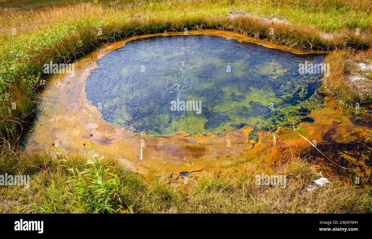 Thermal Feature at Yellowstone National Park, USA Stock Photo - Alamy