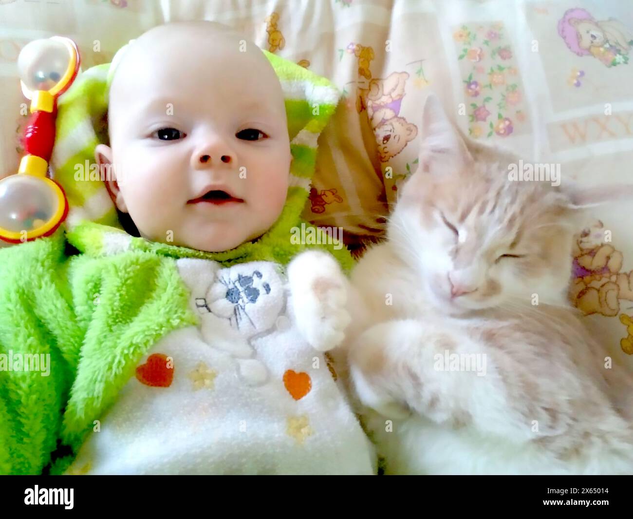 Innocent Bonding: Capturing the innocence of childhood, a little boy ...