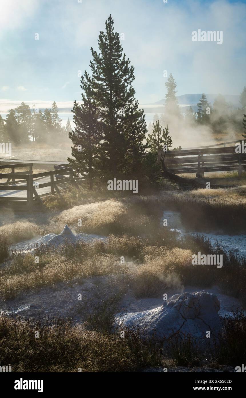 Hydrothermal Features in the Morning at Yellowstone National Park, USA ...