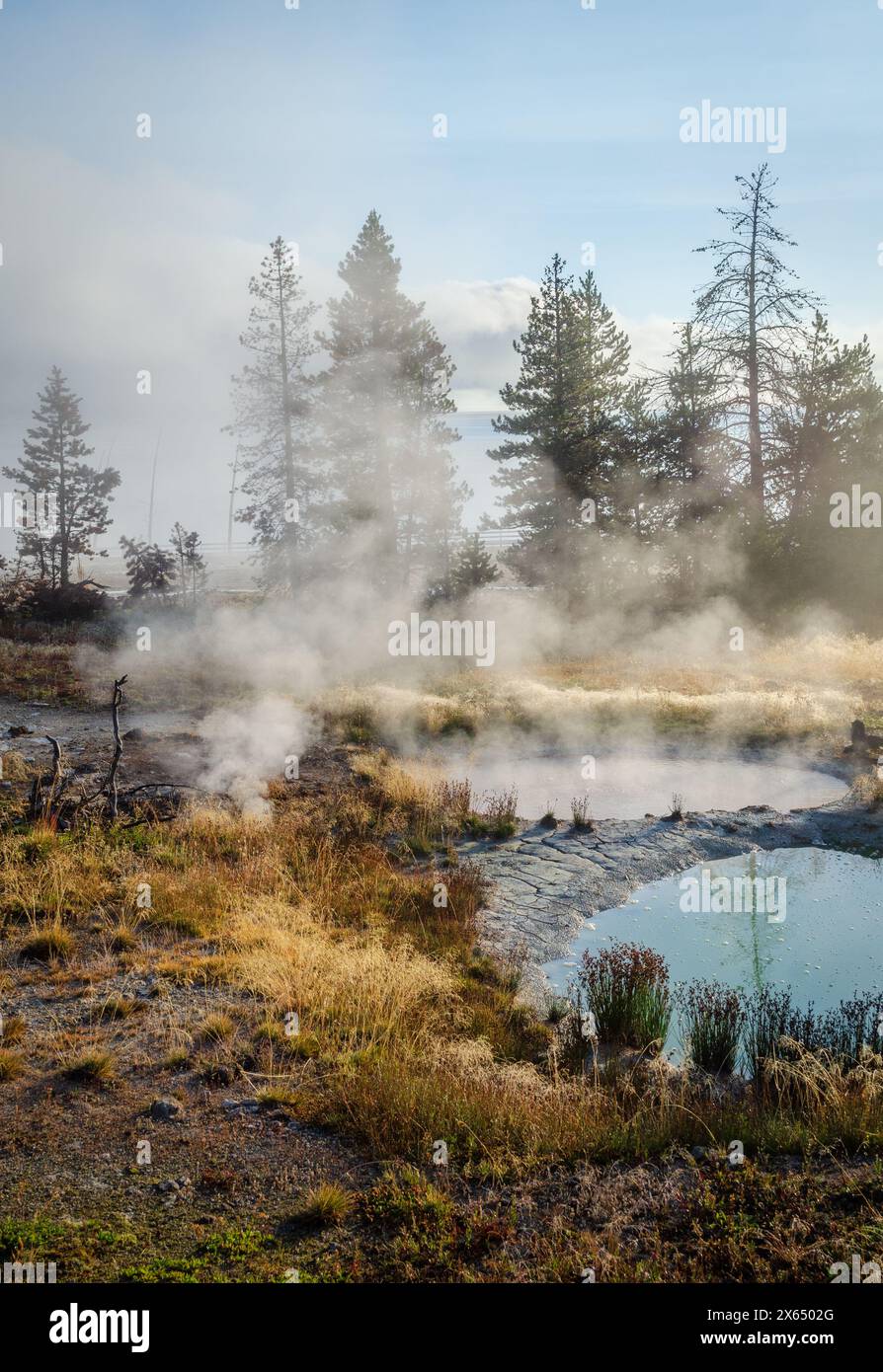 Hydrothermal Features in the Morning at Yellowstone National Park, USA ...