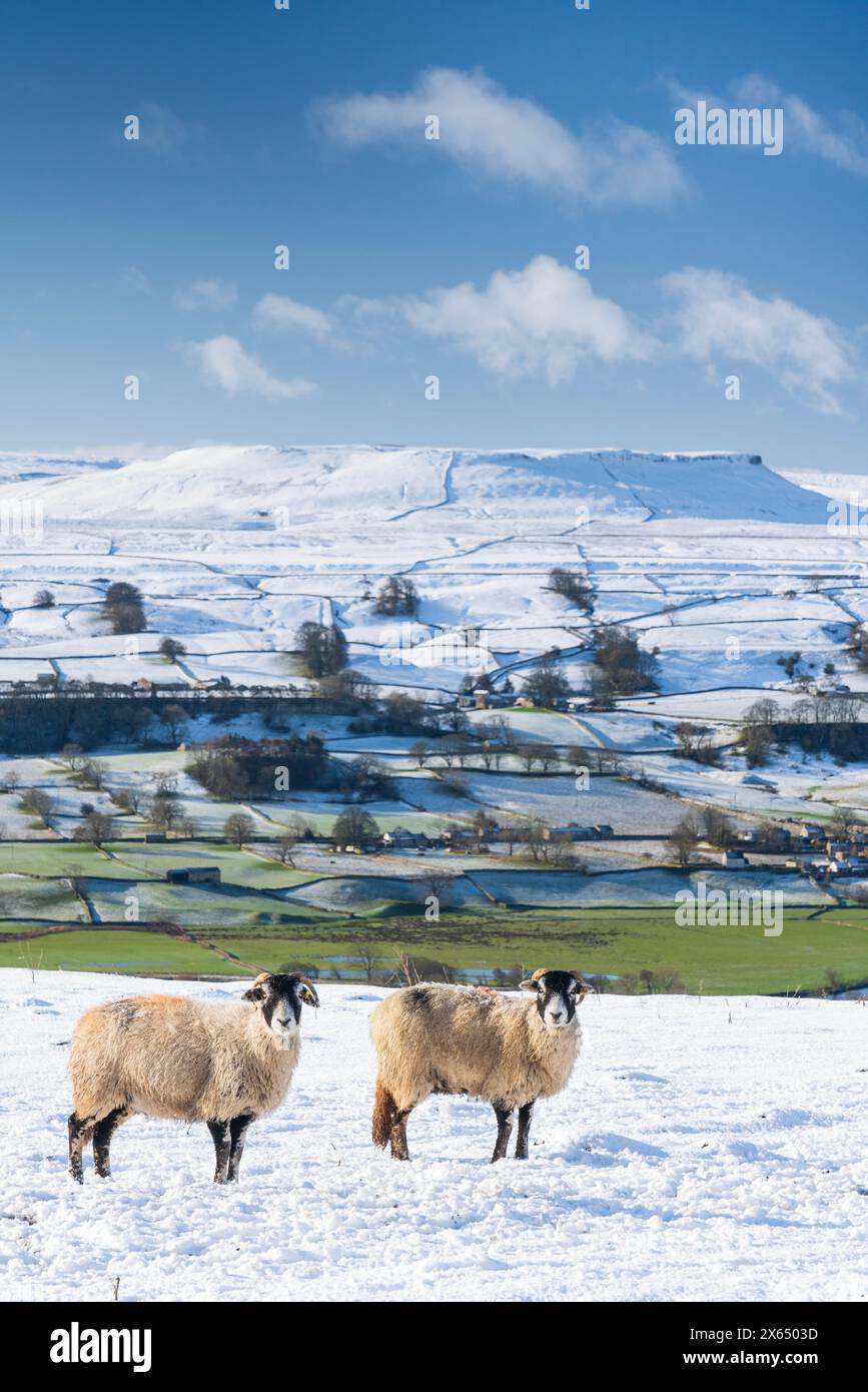 Fresh snow and winter sunshine covering the fell tops in Wensleydale ...
