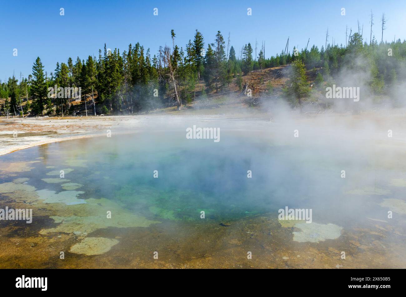 Upper Geyser Basin and Morning Glory Pool at Yellowstone National Park ...