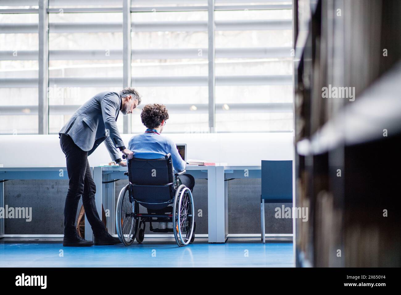 Handsome university professor helping student in a wheelchair, showing ...