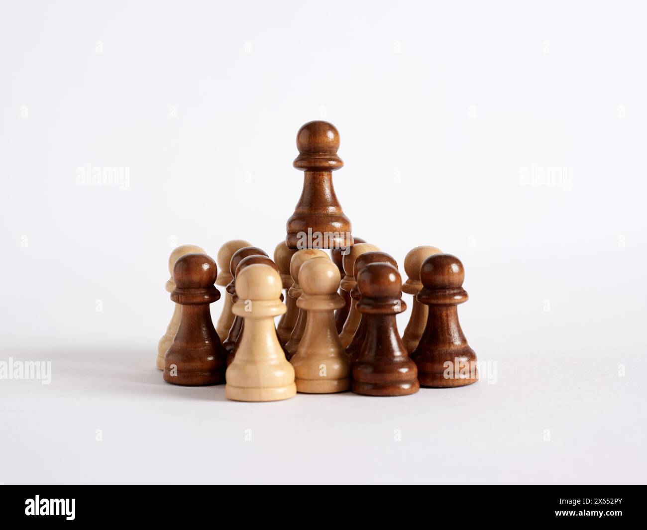 Choosing the leader, leadership and crowd management. Crowd carries the ...