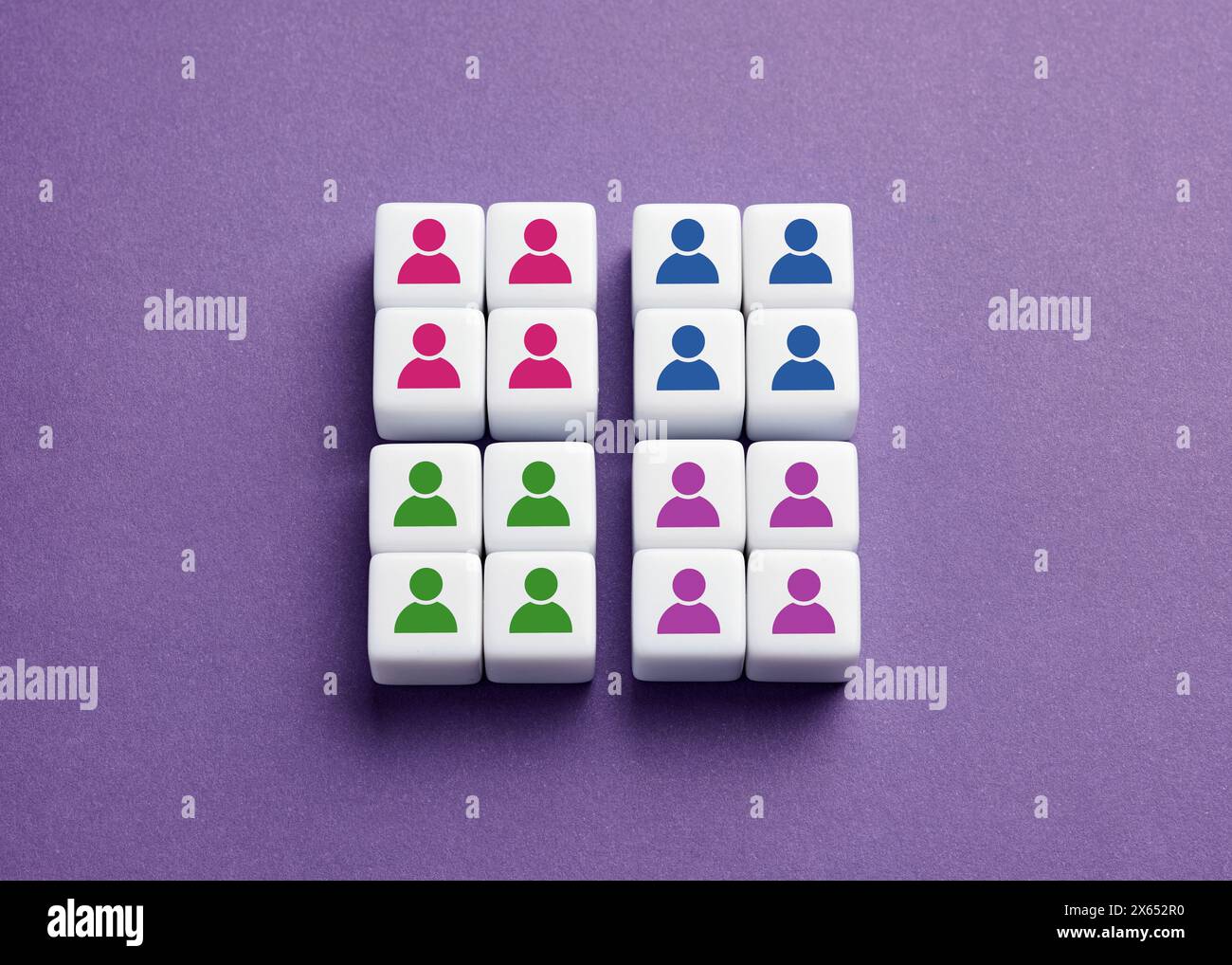 Market segmentation, target customer and product specialization. Business team formation and ...