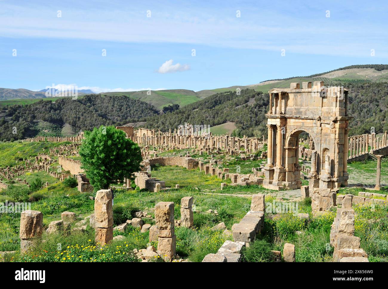 ALGERIA - TOURISM - ART - HISTORY - ARCHEOLOGY. Djemila Roman site ...