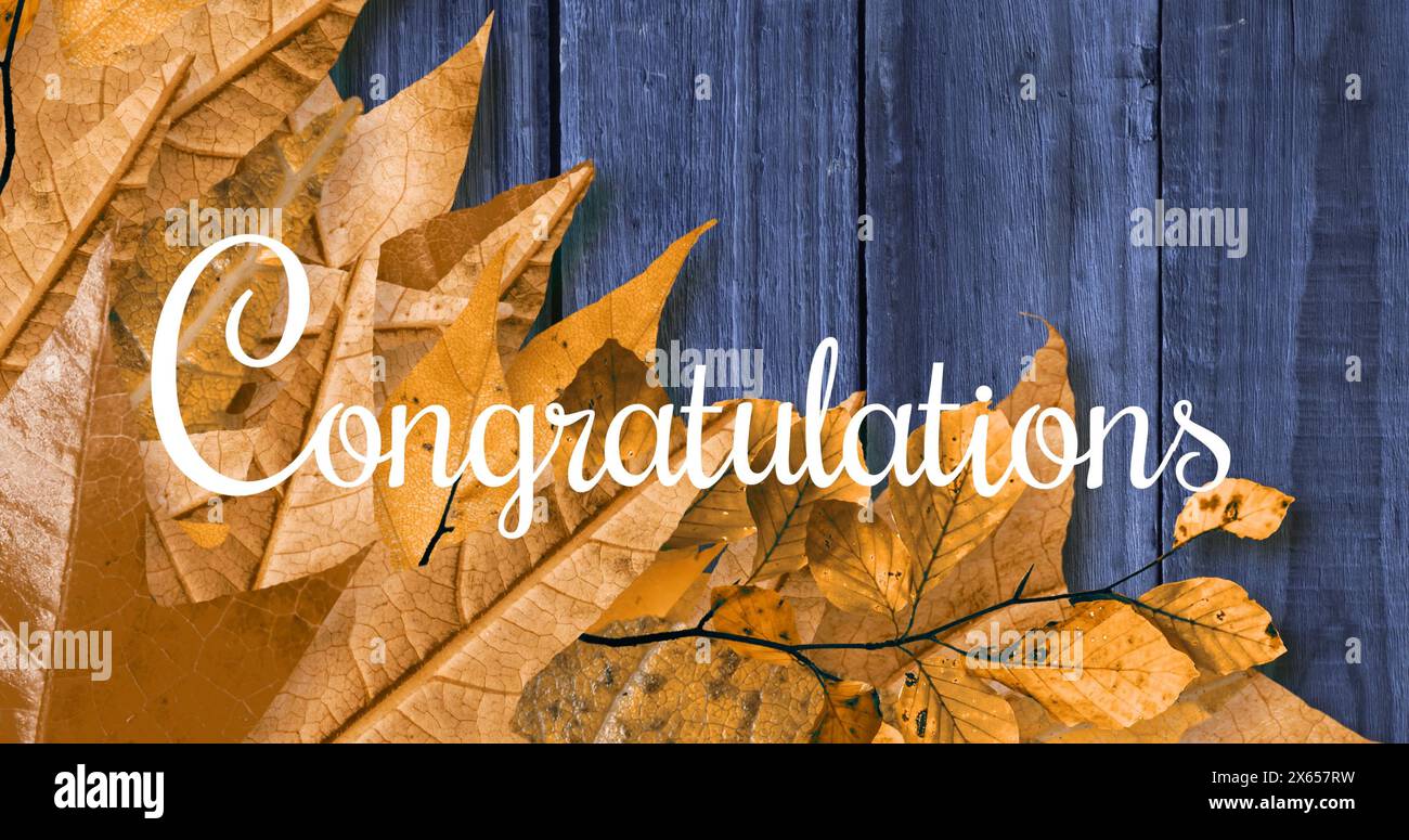 Image of congratulations text over leaves on wooden background Stock ...