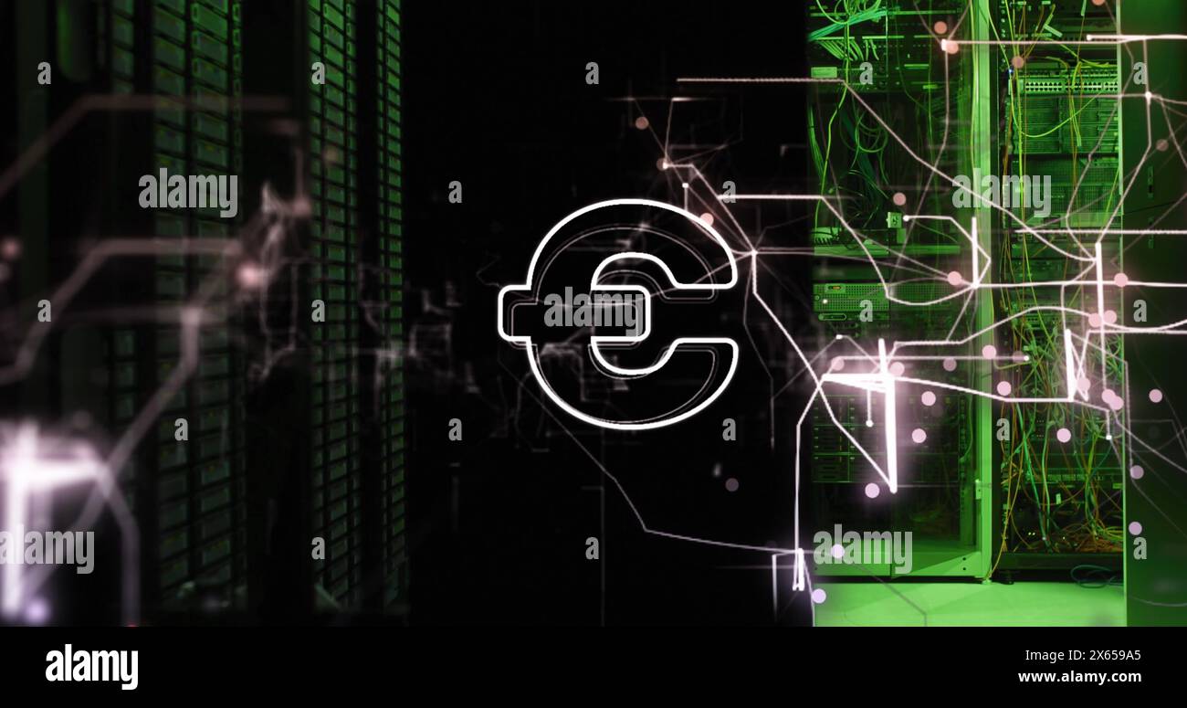 Image of euro symbol and glowing light trails against computer server ...