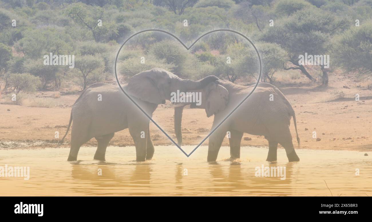 Image of heart over elephants on savanna Stock Photo - Alamy