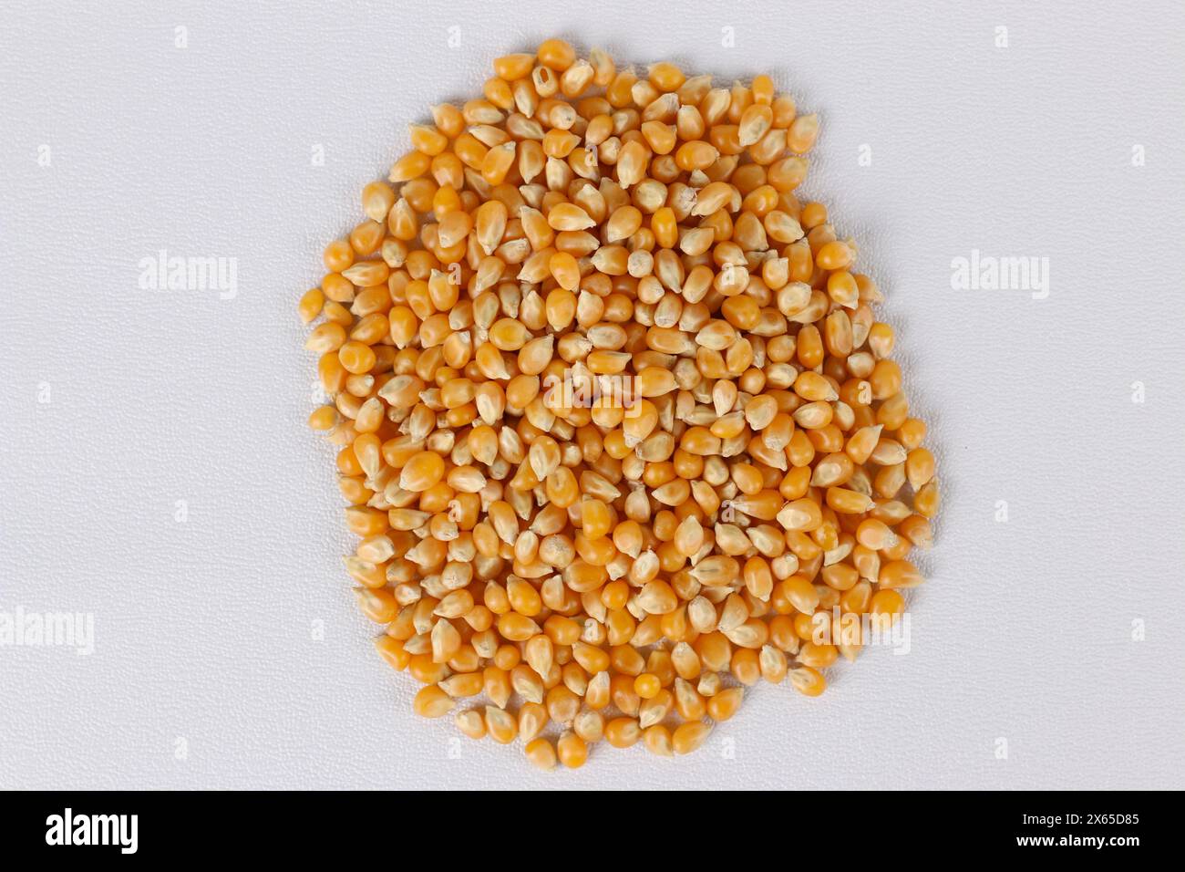 Dried corn or maize kernels on white background Stock Photo - Alamy