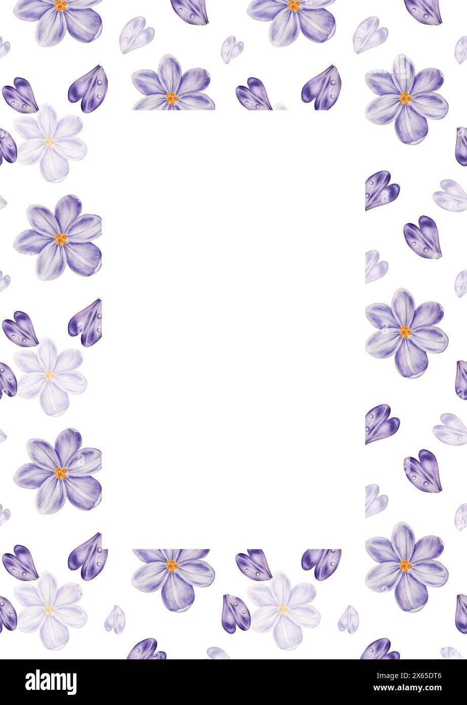 Wildflower violet flower pattern Cut Out Stock Images & Pictures - Alamy