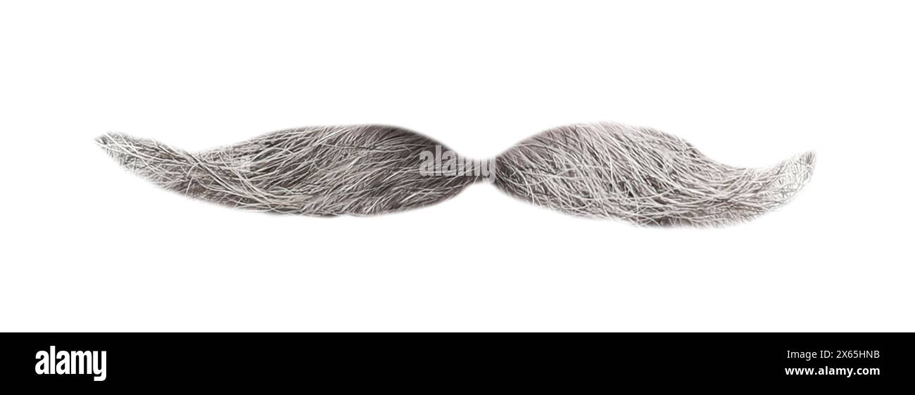 Stylish gray mustache isolated on white. Facial hair Stock Photo - Alamy