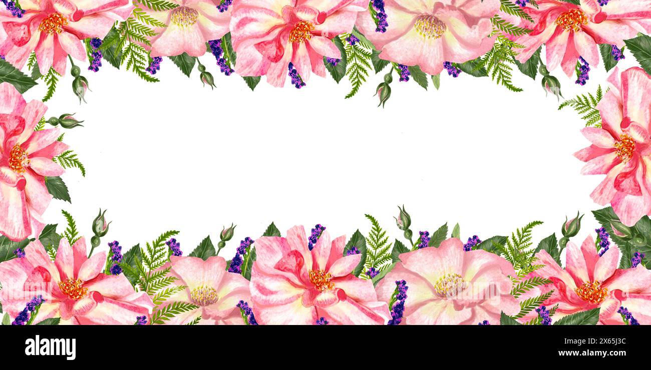 Hand drawn illust hi-res stock photography and images - Alamy