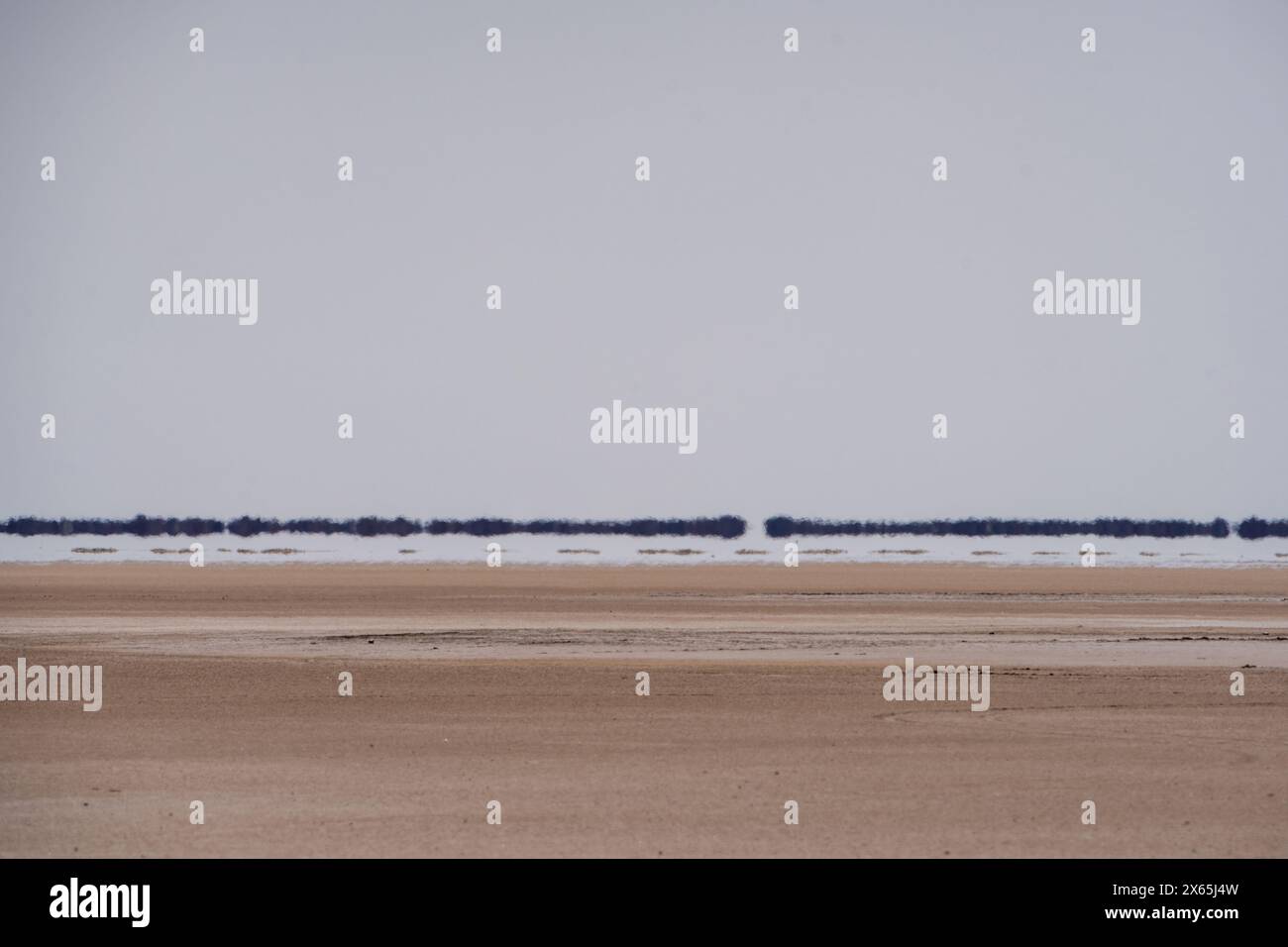Group of pink flamingos in full flight - Tunisia Stock Photo - Alamy