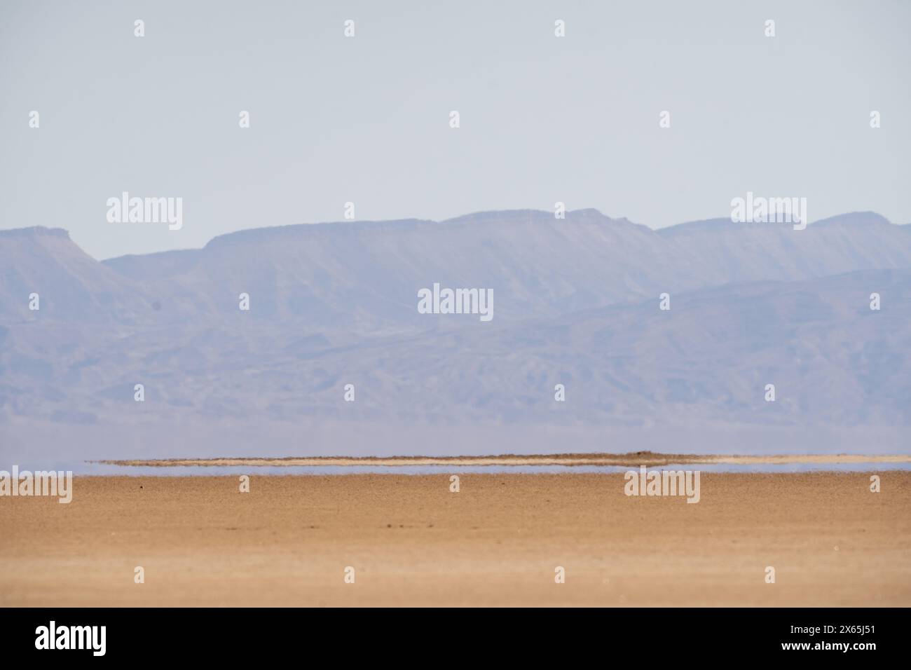 Group of pink flamingos in full flight - Tunisia Stock Photo - Alamy