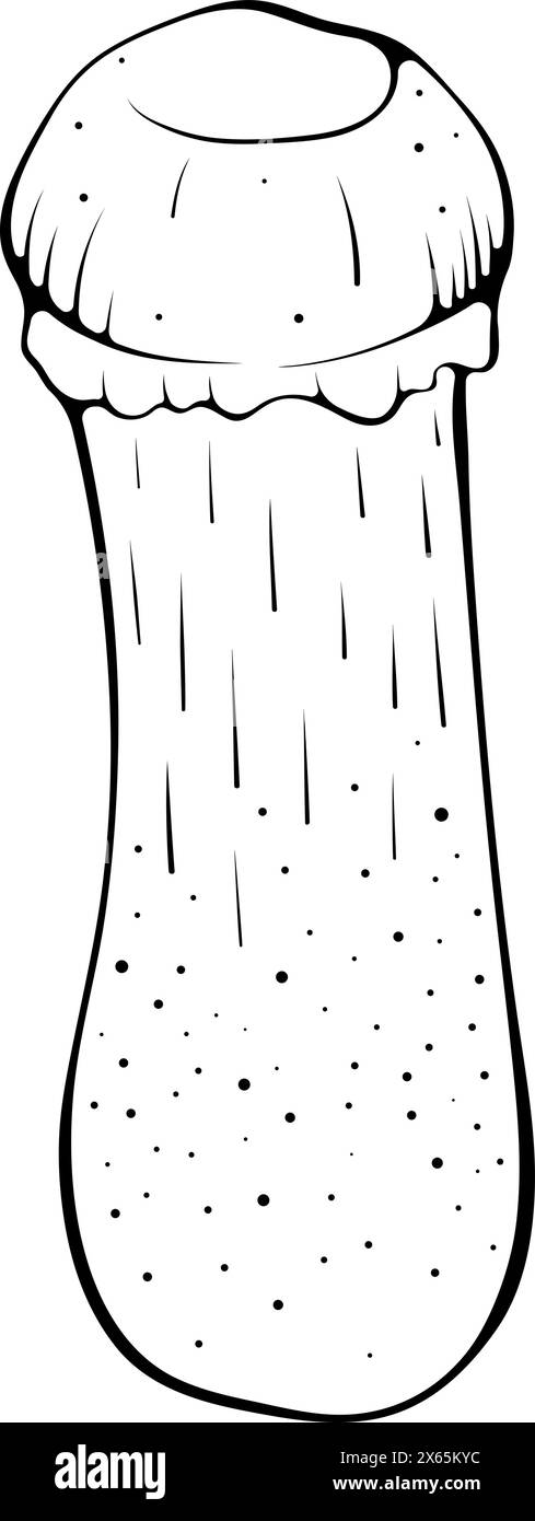 Small boletus Stock Vector Images - Alamy