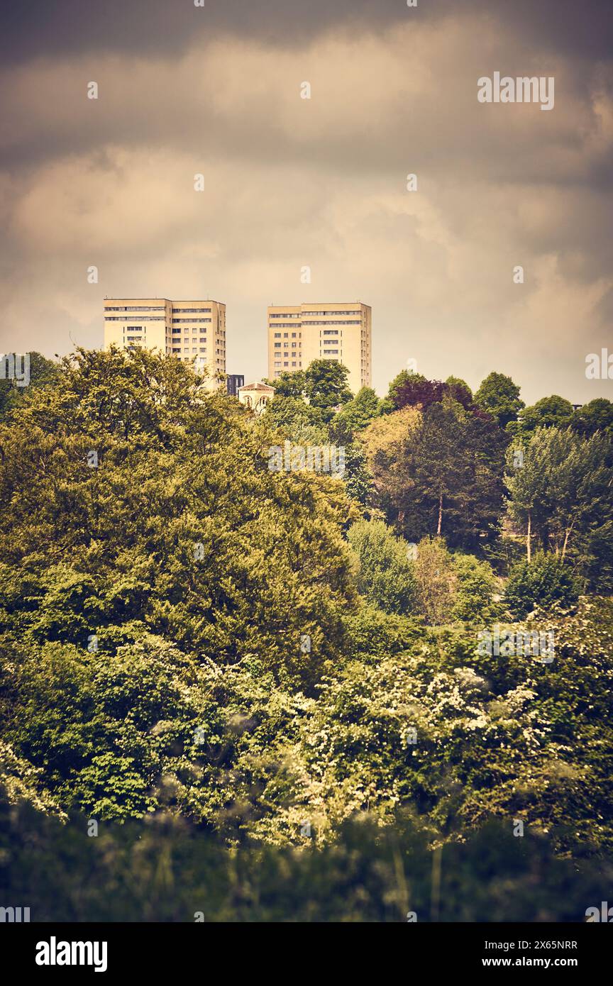 Twin white tower blocks above wooded area Stock Photo - Alamy