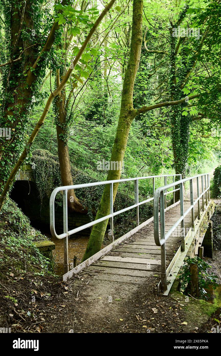 Footbridge over stream in woodland area,uk Stock Photo - Alamy