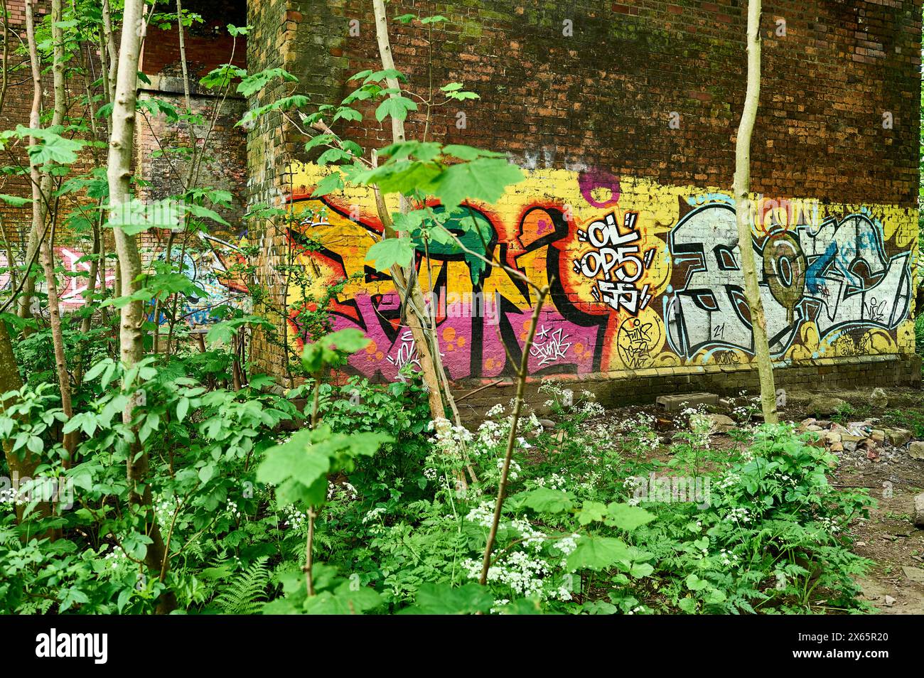 Graffiti on walls of overgrown railway bridge arch in Preston,UK Stock ...