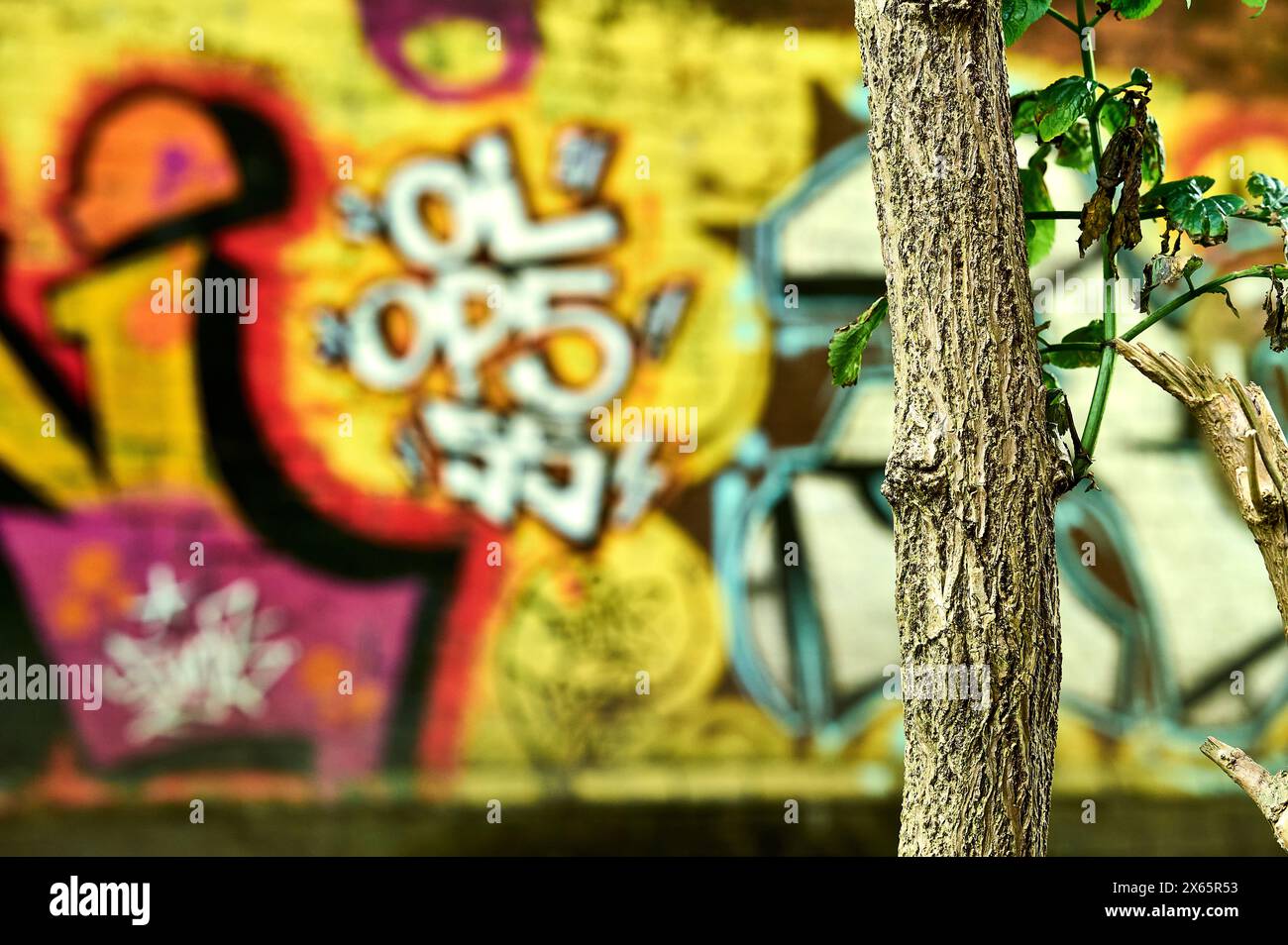 Graffiti on walls of overgrown railway bridge arch in Preston,UK Stock ...