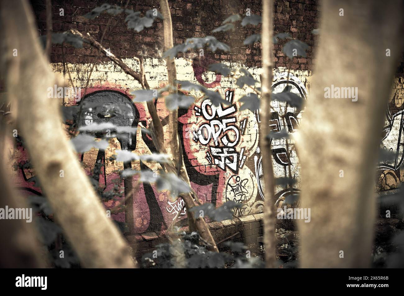 Graffiti on walls of overgrown railway bridge arch in Preston,UK Stock ...