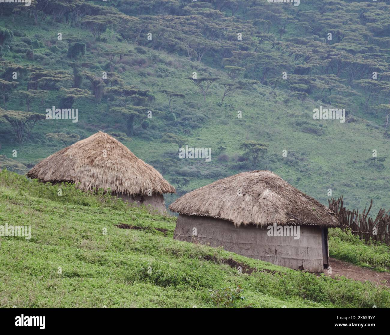 A few grass and mud huts dot a hillside on the road to the Seren Stock ...