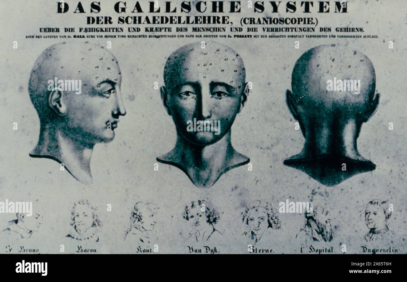 The system of Franz-Joseph Gall, cranioscopy, illustration 19th century ...