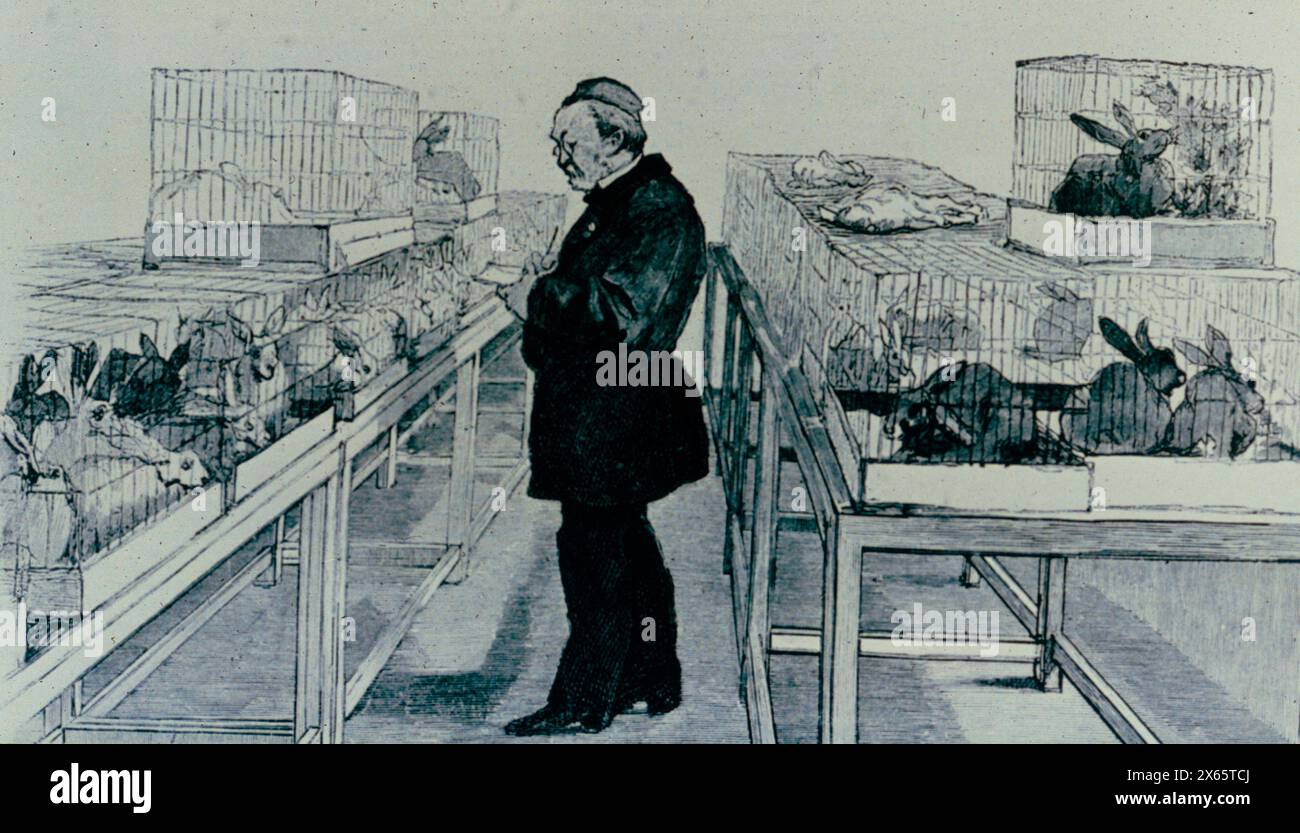 French scientist Louis Pasteur in his laboratory, wood engraving, 1885 ...