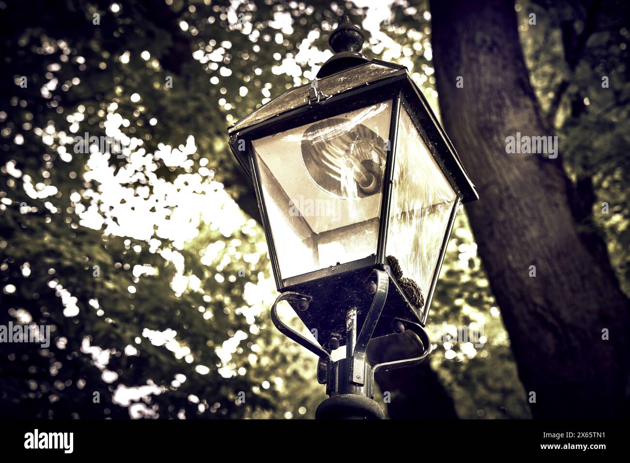 Victorian style lamp post beneath trees Stock Photo - Alamy