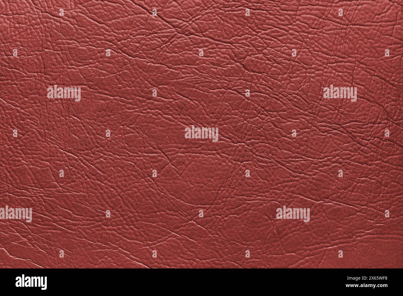 Genuine red leather texture, natural animal skin, luxury vintage ...