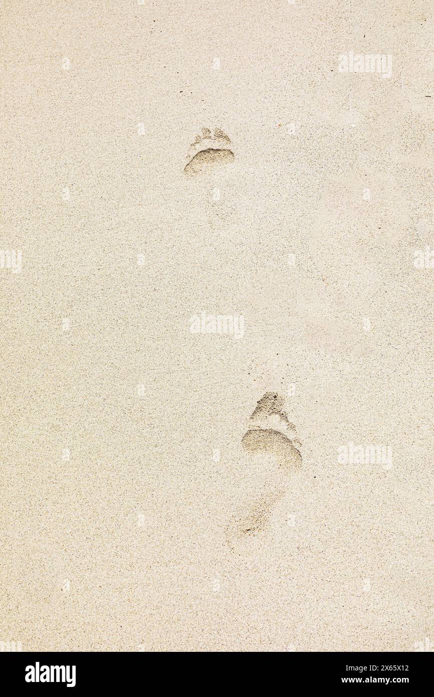 detailed background of footprint at the fine beach sand Stock Photo - Alamy