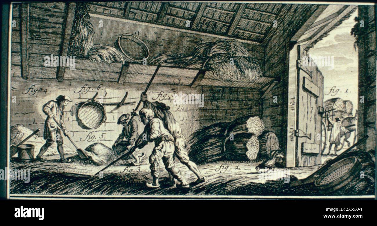 The various steps of the threshing process, 18th century illustration ...