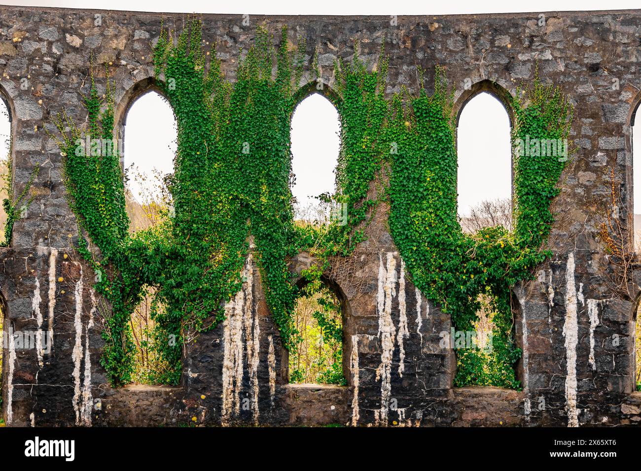 Interior of Colosseum Windows With Green Climbing Vines Stock Photo - Alamy