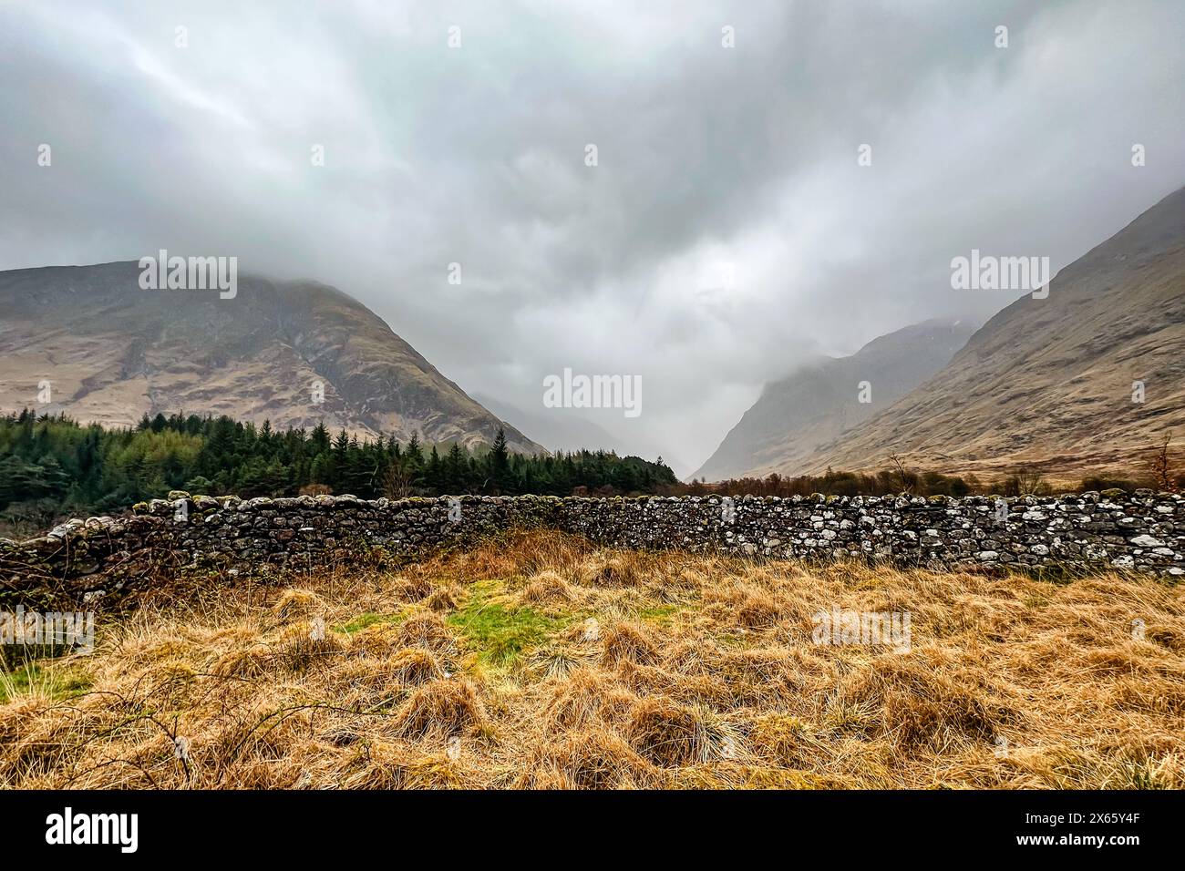Stone Fences Near Glencoe Scotland Stock Photo - Alamy