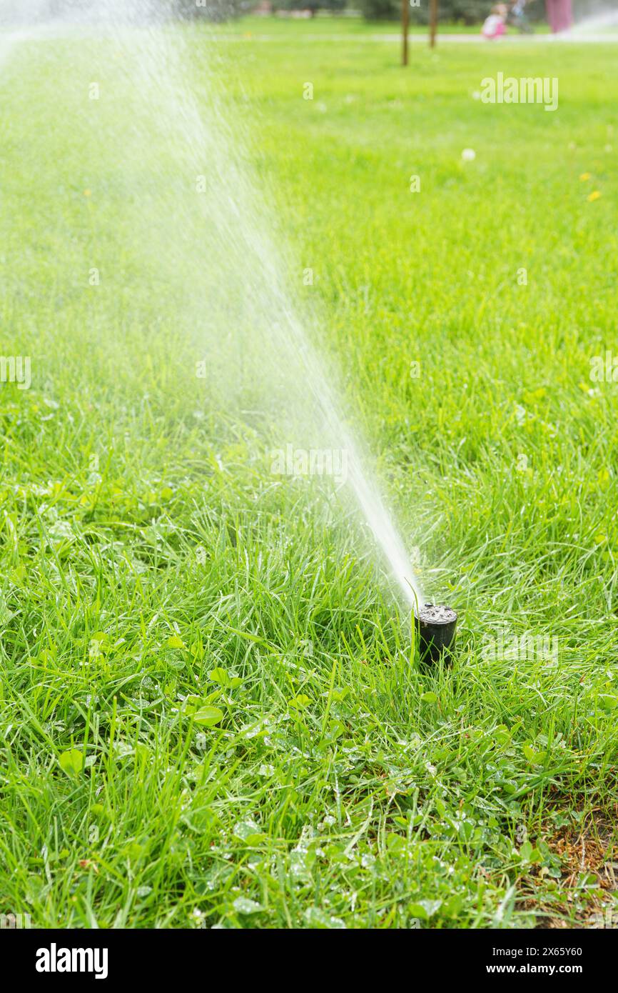 Automatic smart lawn sprinkler watering green lawn grass in sunny day ...