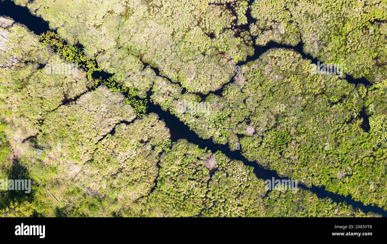 Aerial View of Lush Green Swamp in Wanup, Ontario during Spring Stock ...
