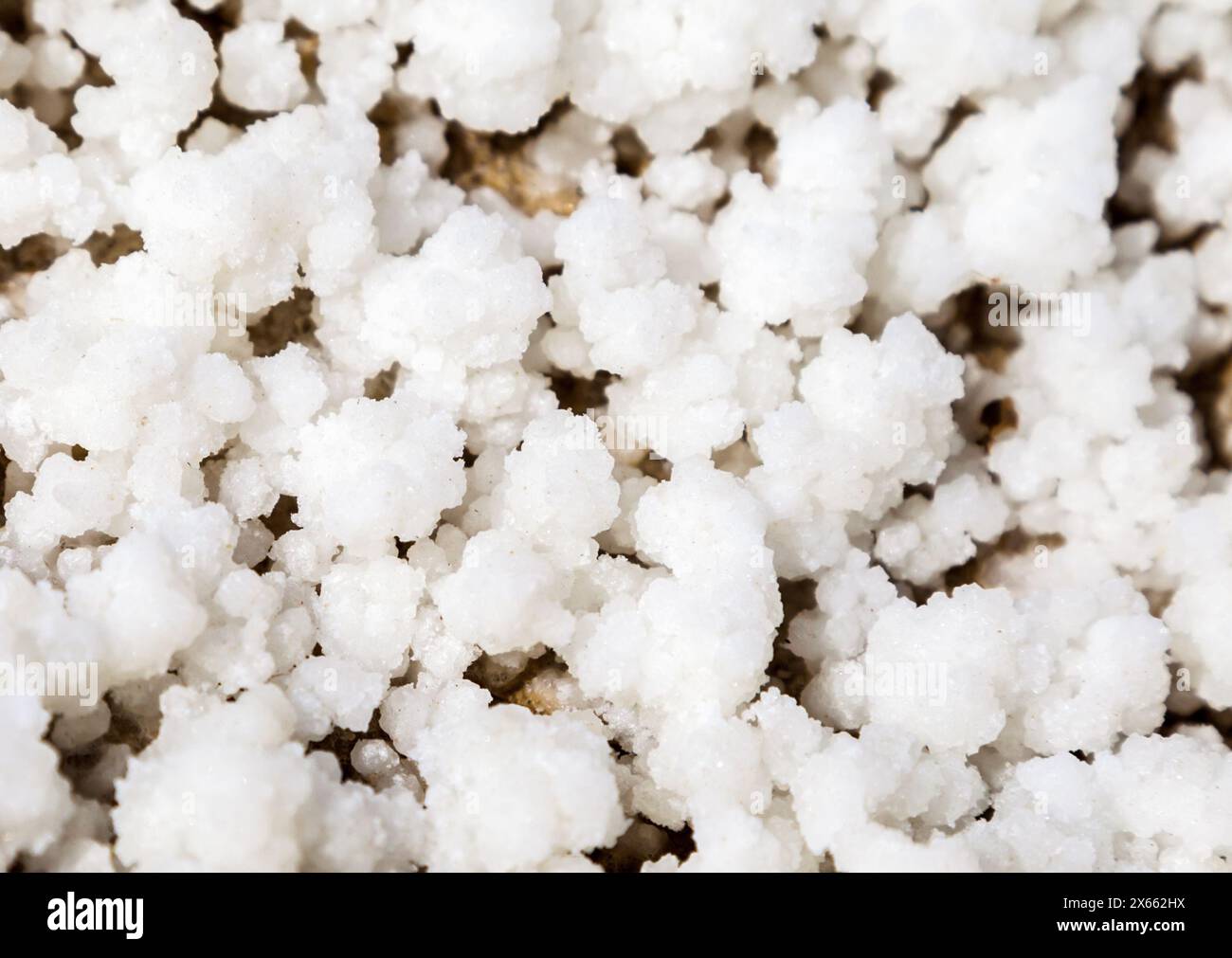 The salt of the earth hi-res stock photography and images - Alamy