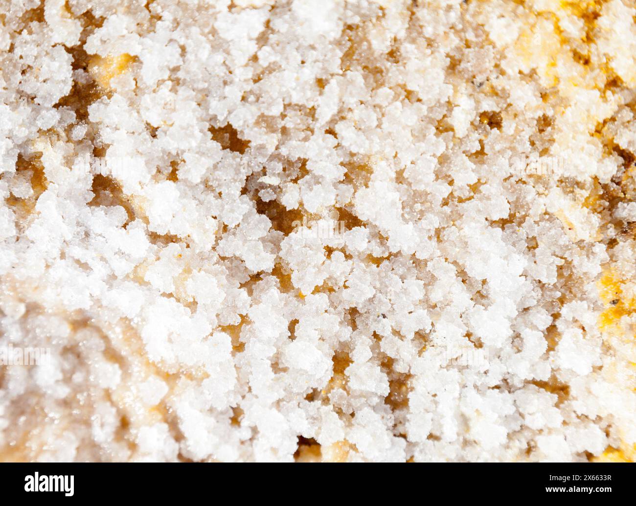 The salt of the earth hi-res stock photography and images - Alamy