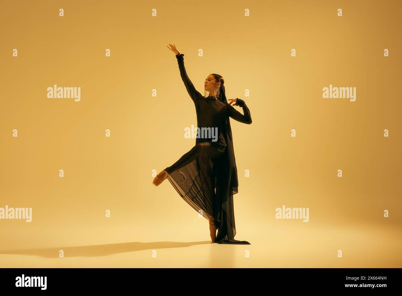 Artistic performance. Female dancer blending contemporary dance ...